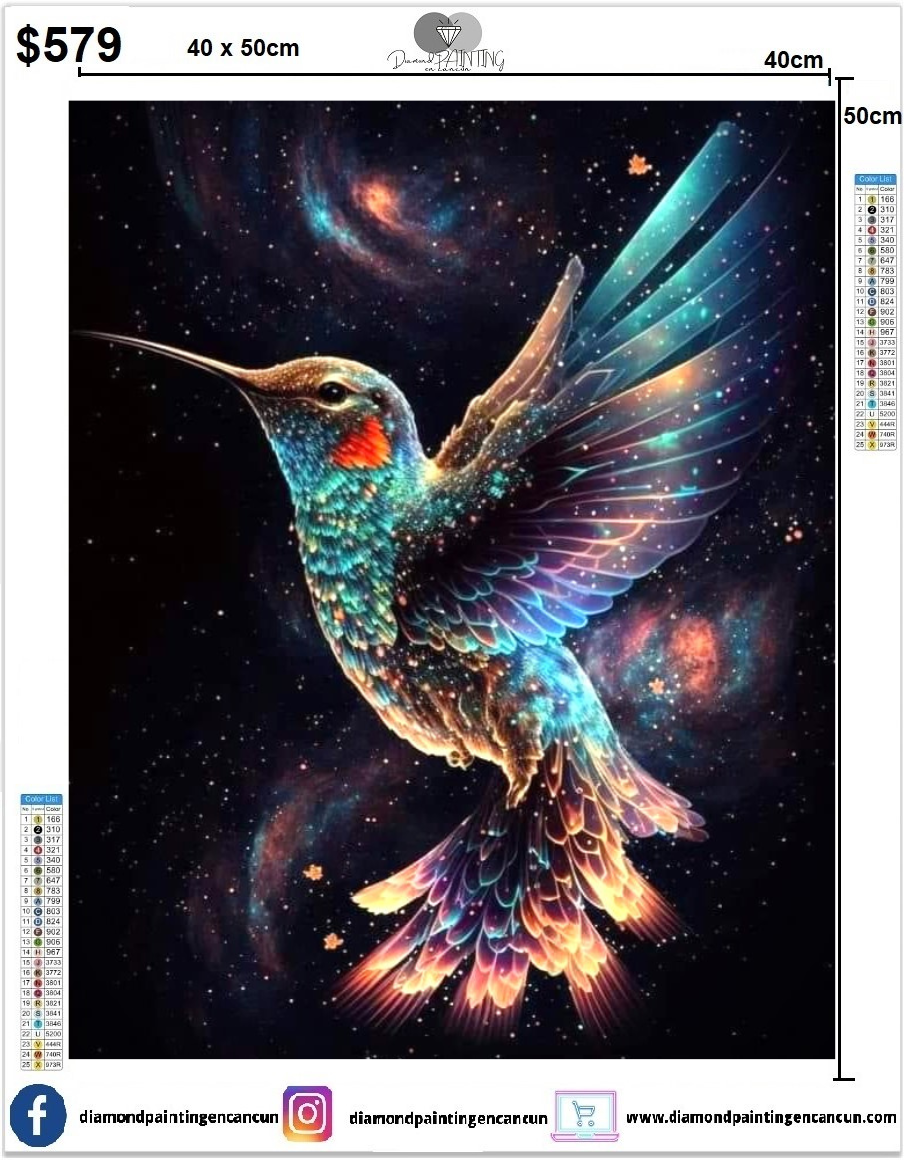 Colibrí 40 x 50cm CONTIENE DIAMANTES GELATINA BRILLANTE EN LA OSCURIDA ...