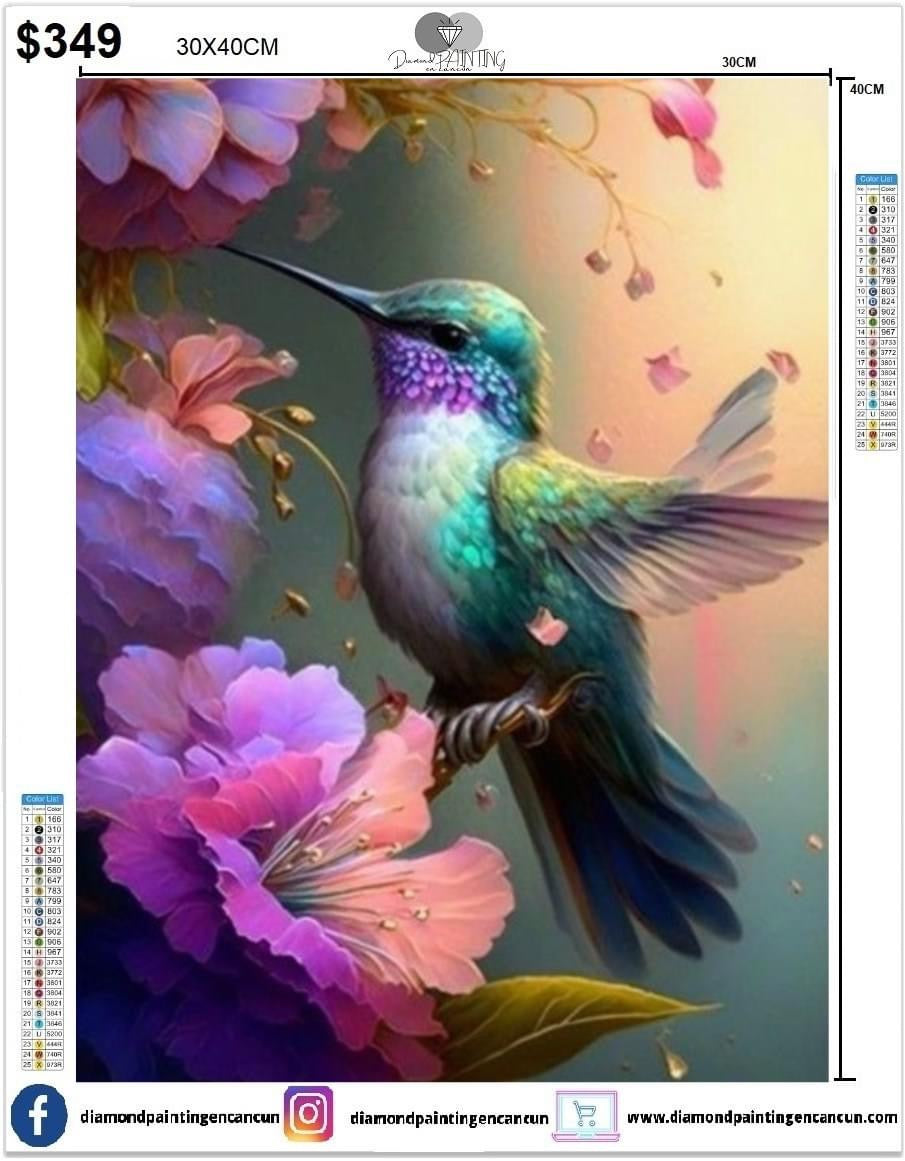 Colibrí 30 x 40cm CONTIENE DIAMANTES AB Y POLVO DE HADA – Diamond ...